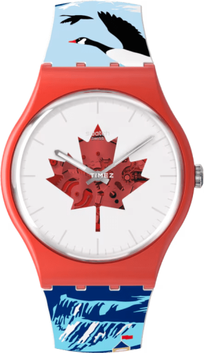 Swatch Watch Prices & Model Search | TIMEZ platform